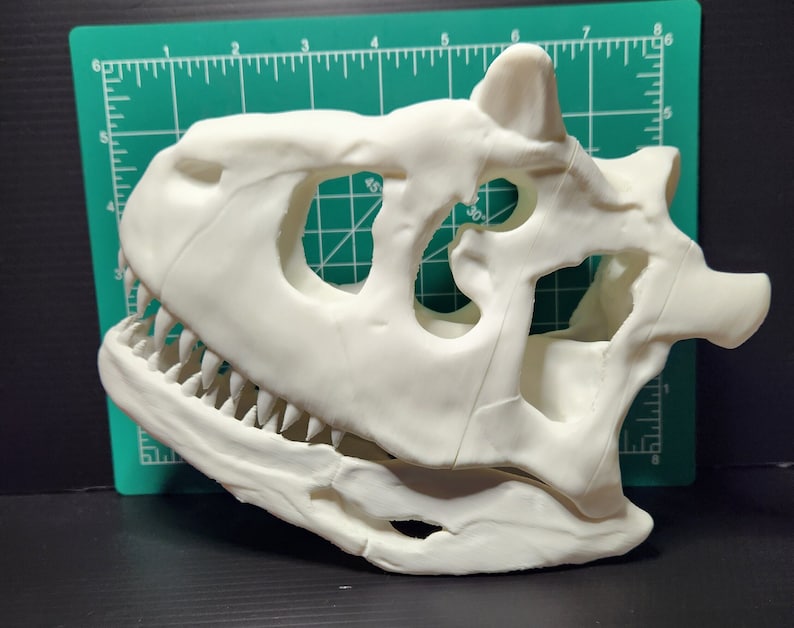 Carnotaurus Skull - Etsy