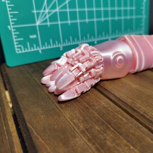 Flexi Squid Articulated Fidget Toy -biology Science Paleontology- - Etsy