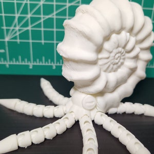 Ammonite Articulated Fidget Toy -biology Science Paleontology- - Etsy