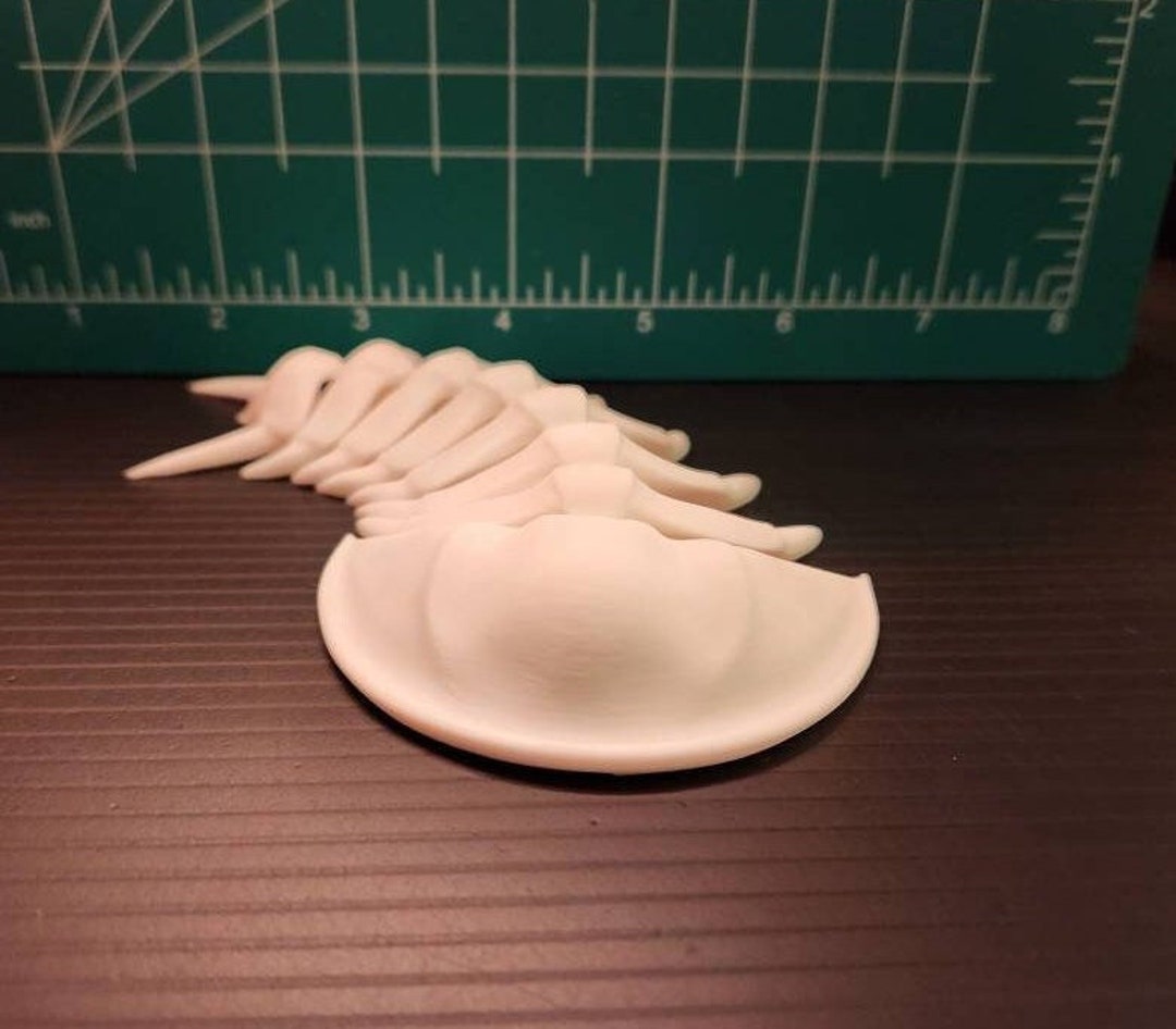 Trilobite Articulated Fidget Toy -biology Science Paleontology- - Etsy