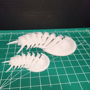 Trilobite Articulated Fidget Toy -biology Science Paleontology- - Etsy