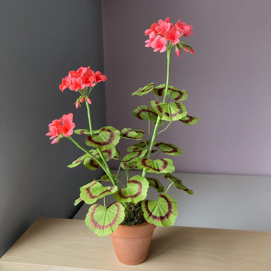 Large Paper Geranium in Terracotta Pot / Gift for Mom / First ...