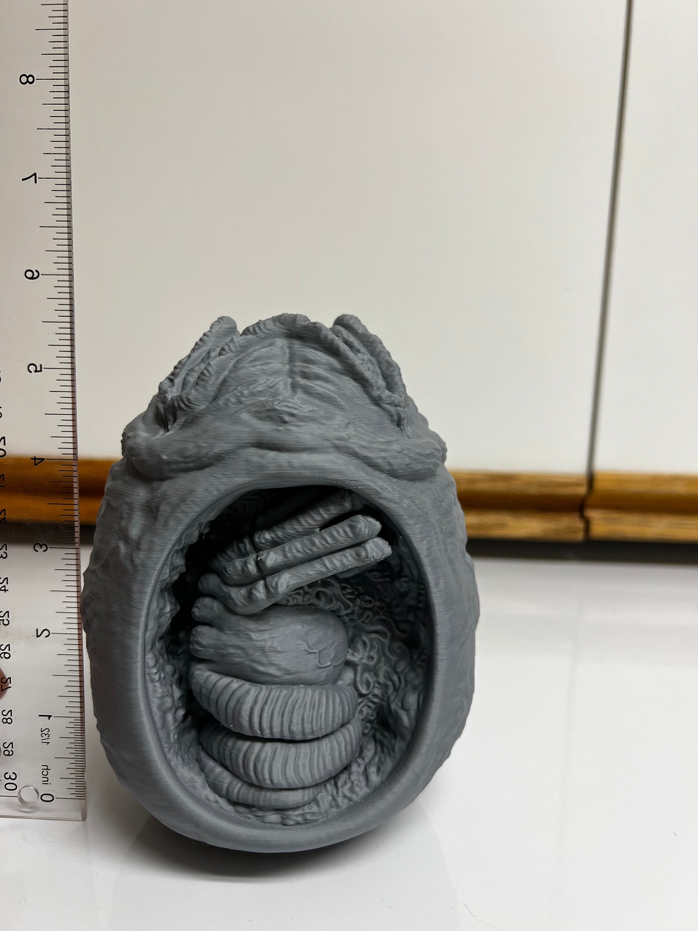 Unique 3D Printed Xenomorph Egg With Mesmerizing Cutaway View A Must ...