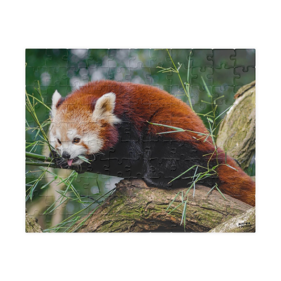 Red Panda Puzzle (110, 252, 500-piece) - Etsy