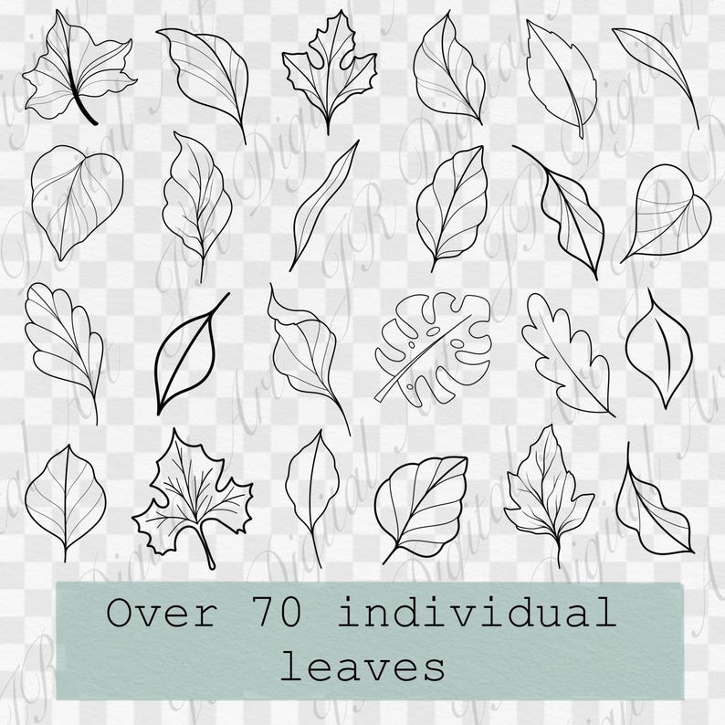 200+ Leaves Procreate Bundle, Tattoo Stencil Designs, Botanical Designs ...