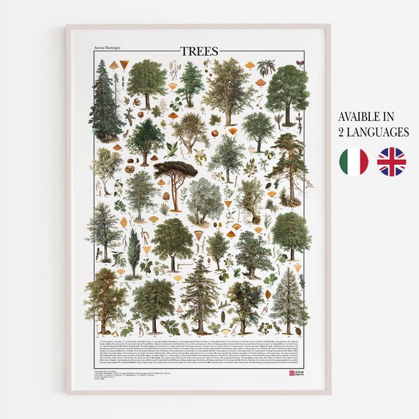 Tree Poster - Etsy