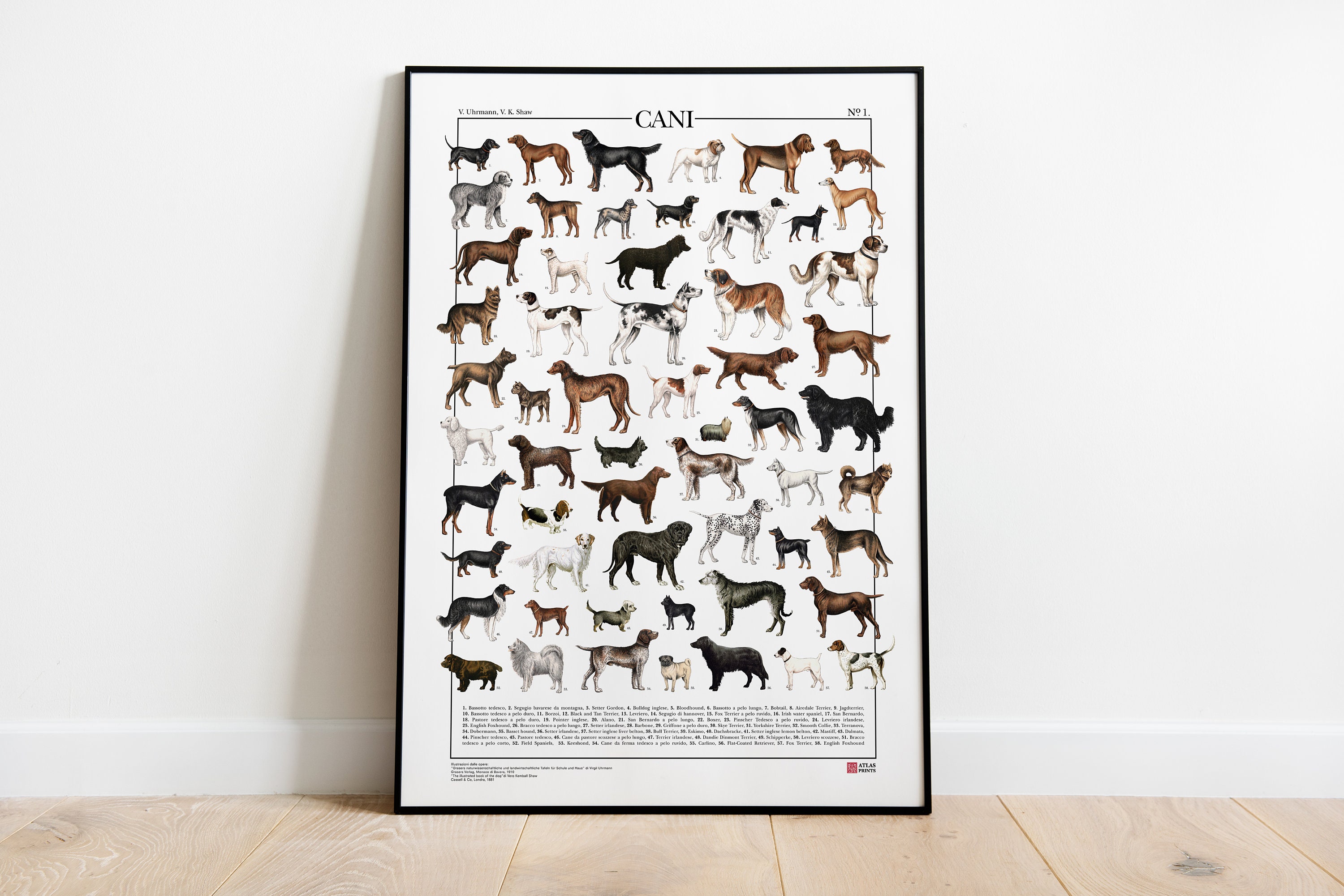 Poster Dogs 58 Dog Breeds Poster, Dog Lover Gift, Dog Breeds ...