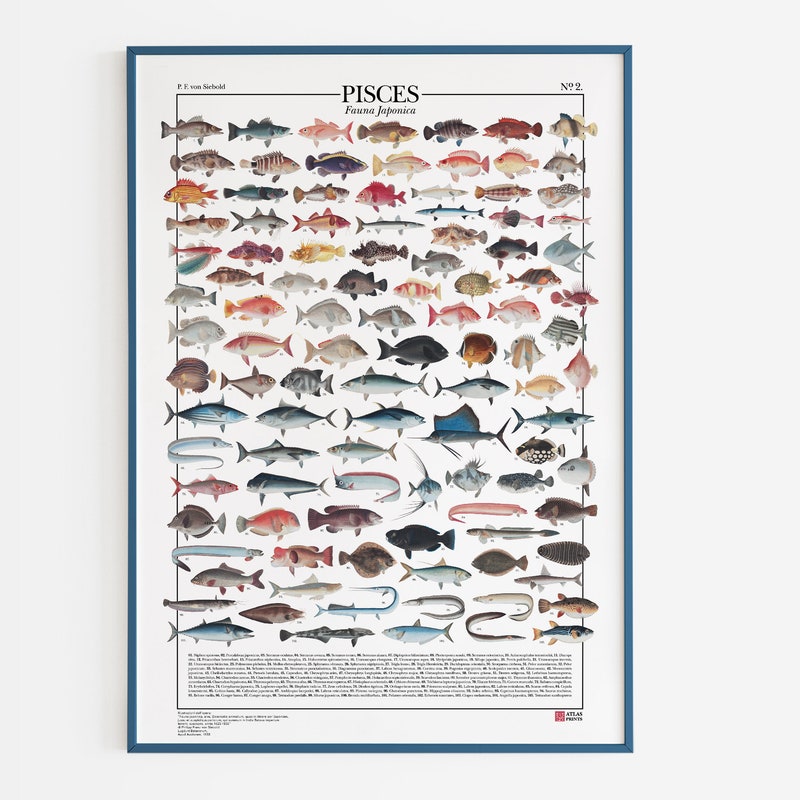 Japanese Poster - Etsy