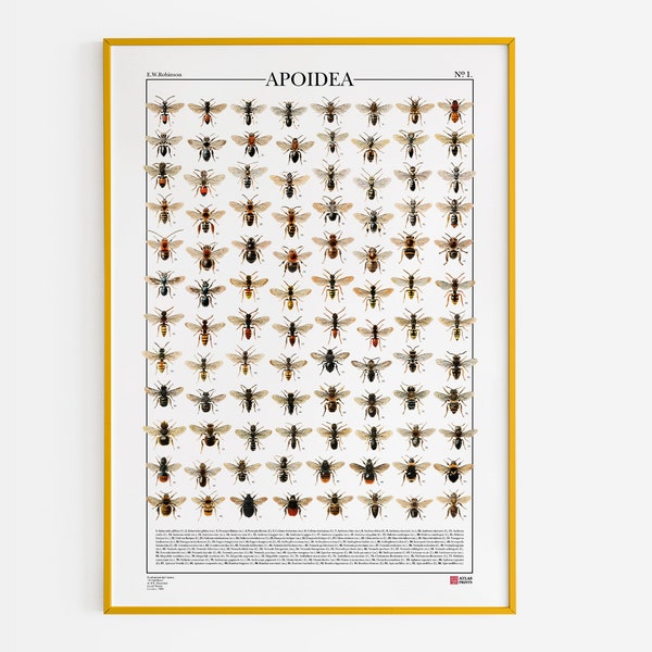 Bee Poster - Etsy