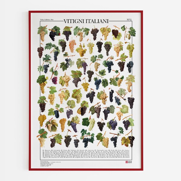 Wine Poster - Etsy