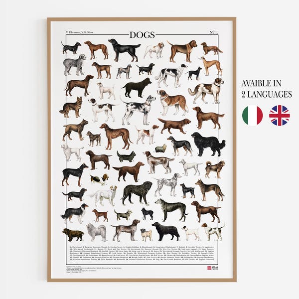 Dog Breeds Poster - Etsy