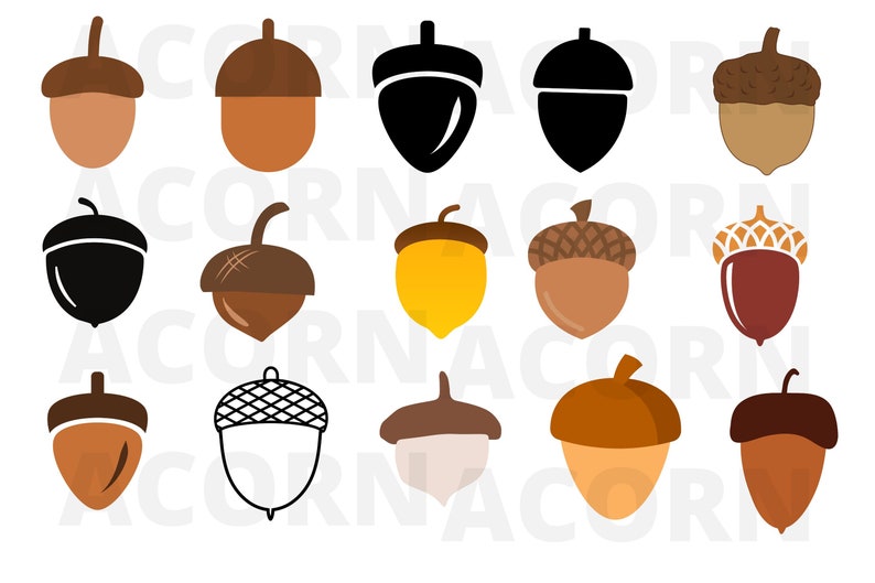 Acorn SVG Bundle: Oak Nut Clipart, Cut Files (digital Download) - Etsy