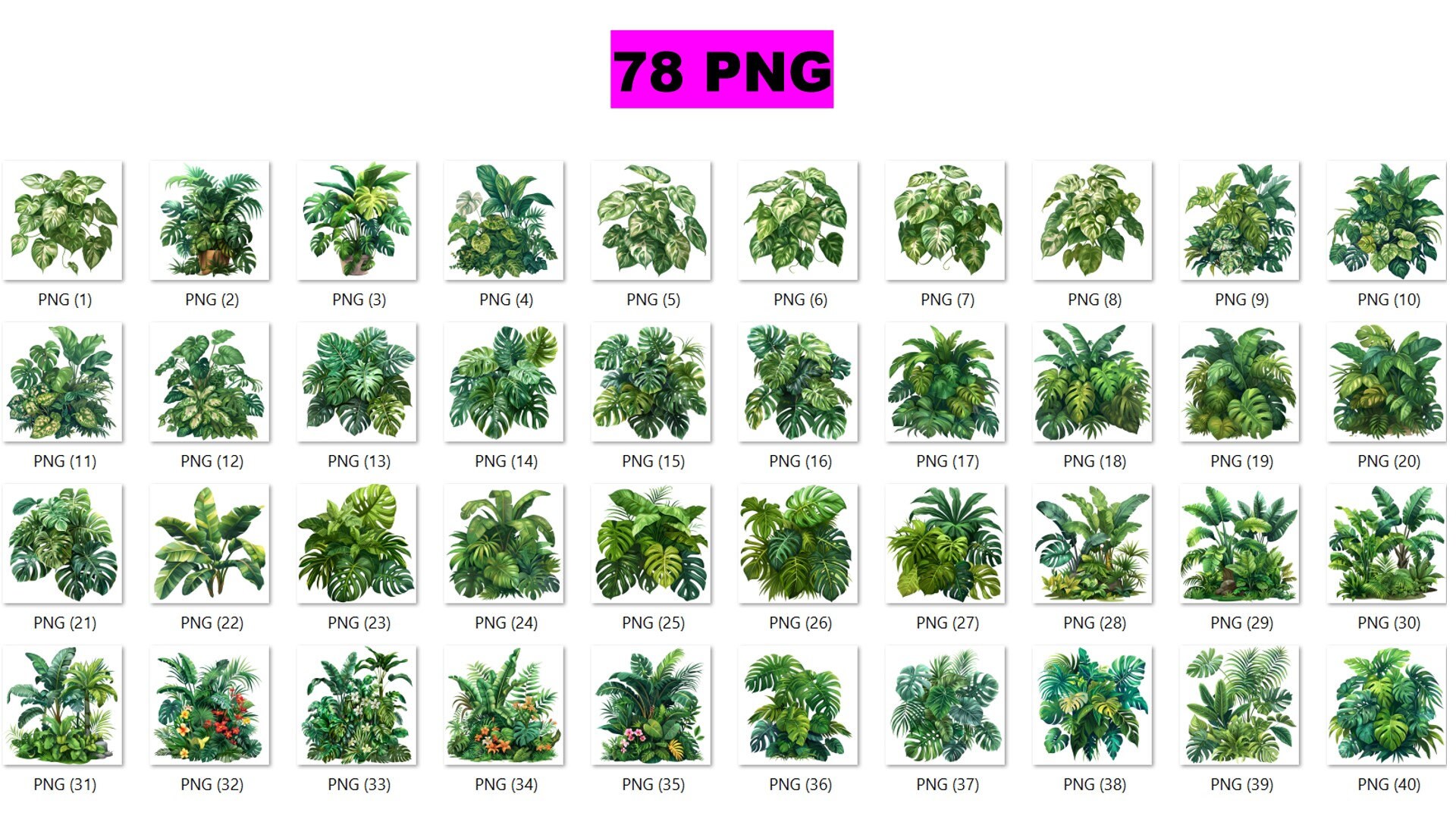 Watercolor Tropical Leaves Leaves Jungle Leaves Palm Tree Monstera ...