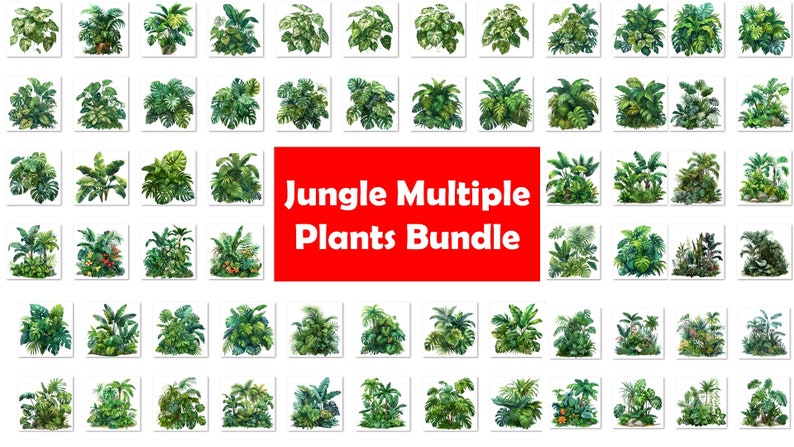 Watercolor Tropical Leaves Leaves Jungle Leaves Palm Tree Monstera ...