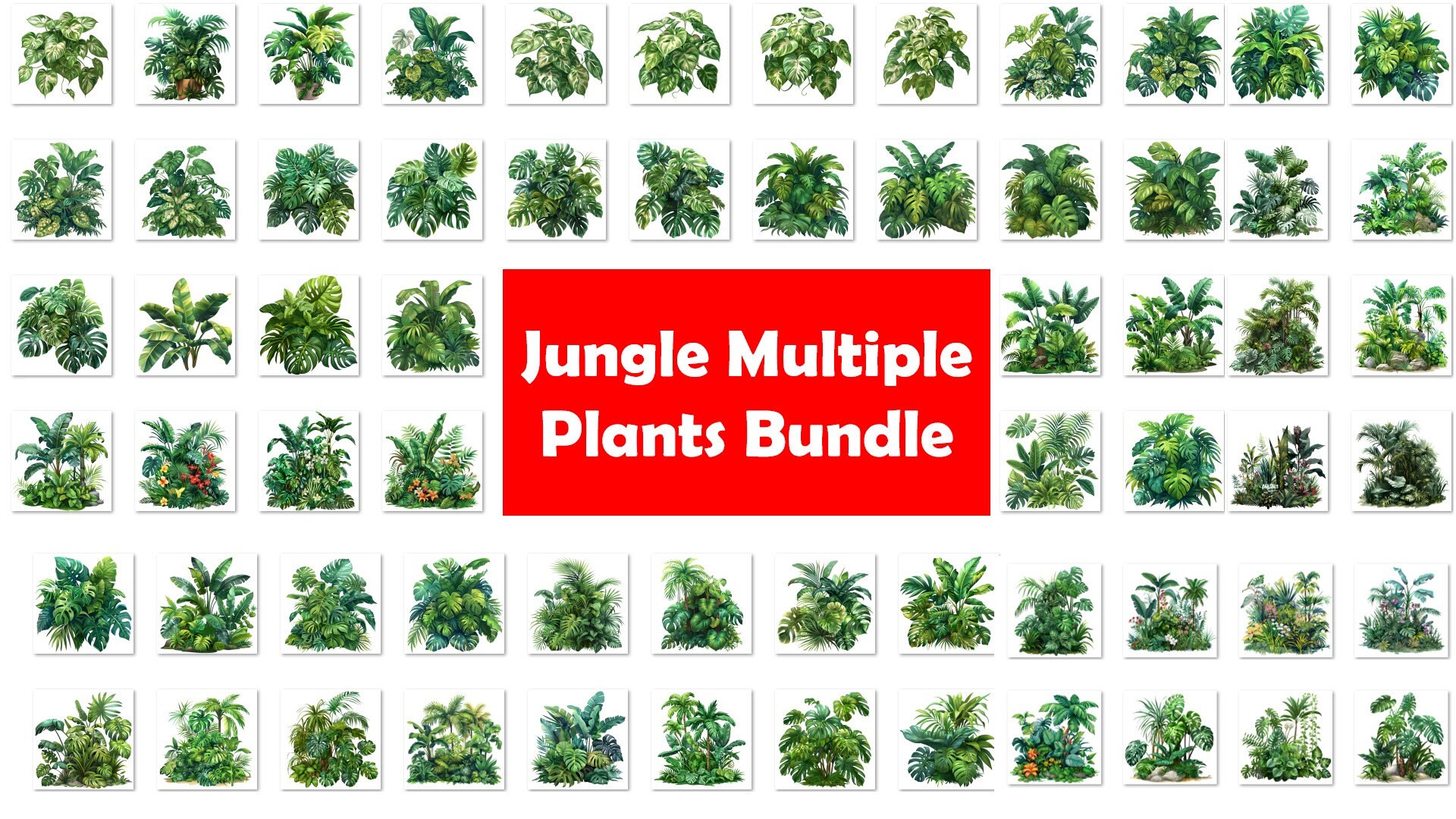 Watercolor Tropical Leaves Leaves Jungle Leaves Palm Tree Monstera ...