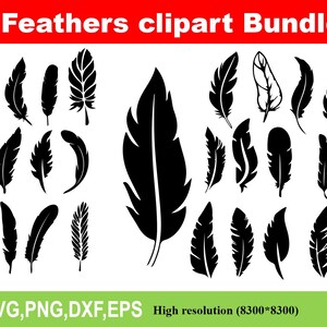 Feather Svg Bundle, Feather Birds Svg, Dxf, Png, Eps, Feathers ...