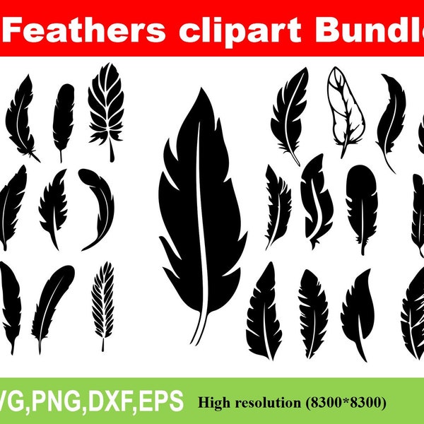 Feather Bird Svg - Etsy