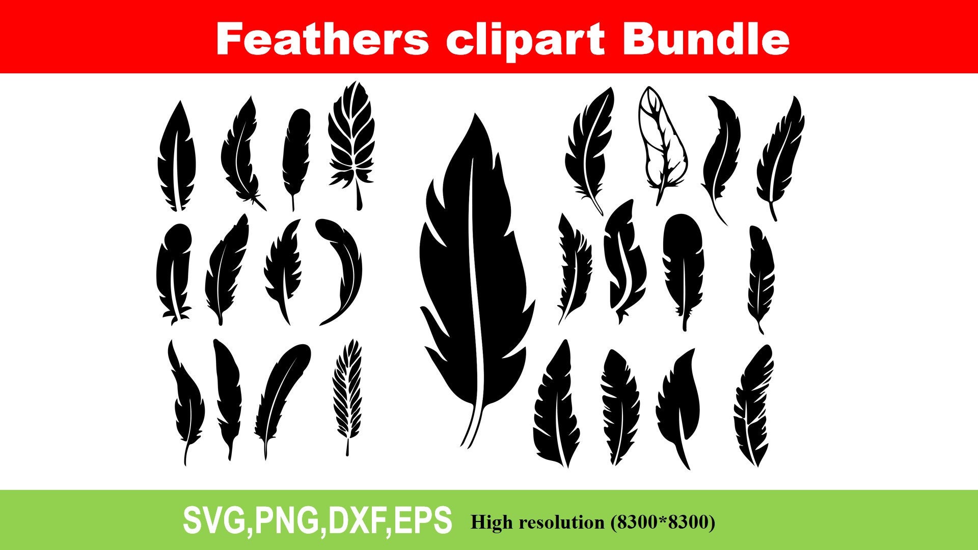 Feather Svg Bundle, Feather Birds Svg, Dxf, Png, Eps, Feathers ...