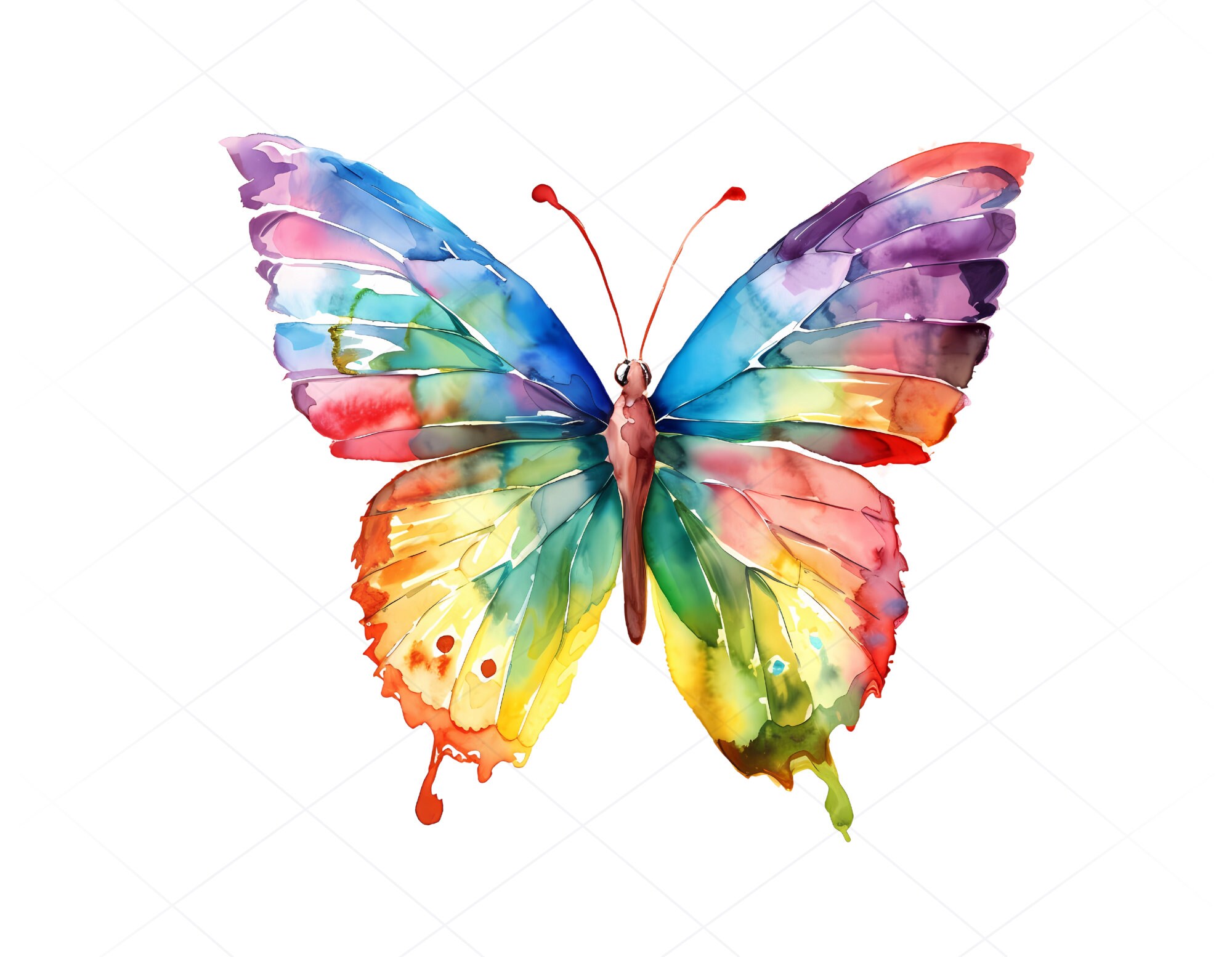 Rainbow Watercolor Butterfly Clipart, Butterfly Illustration, Butterfly ...