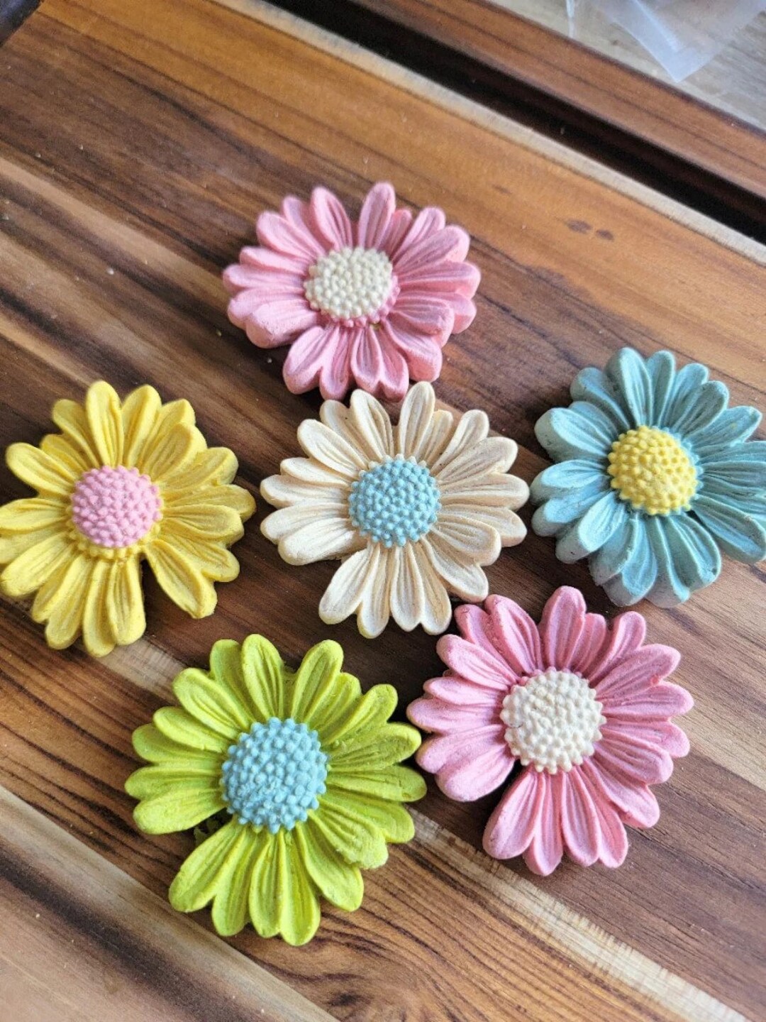 Vibrant Daisy| Meat Based |crunchy |5ct | Assorted Designs - Etsy