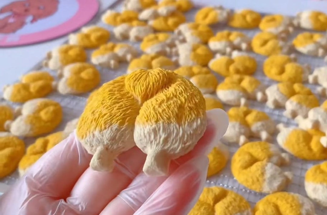 Corgi Butt Cookies, Homemade Healthy Dog Treat, 5ct digestion, Protein ...