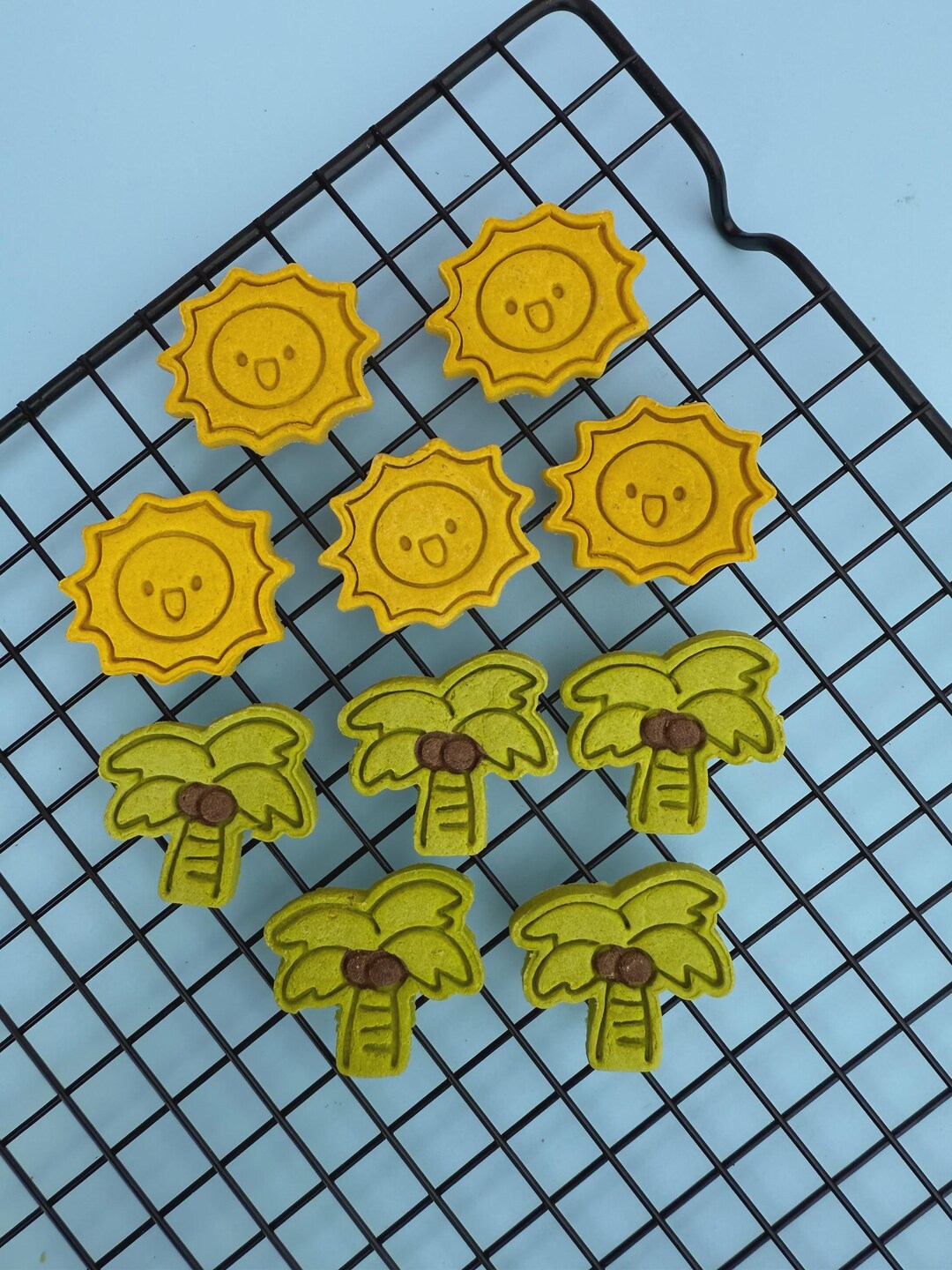 Tropical Sunny Coco Set| Meat Based | Softie | 10ct | Assorted Designs ...