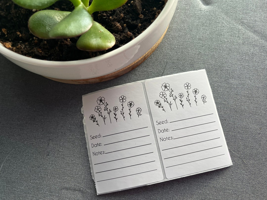 Seed Envelope Labels | Seed Labels | 2 X 3 Label | Set of 5 Labels - Etsy