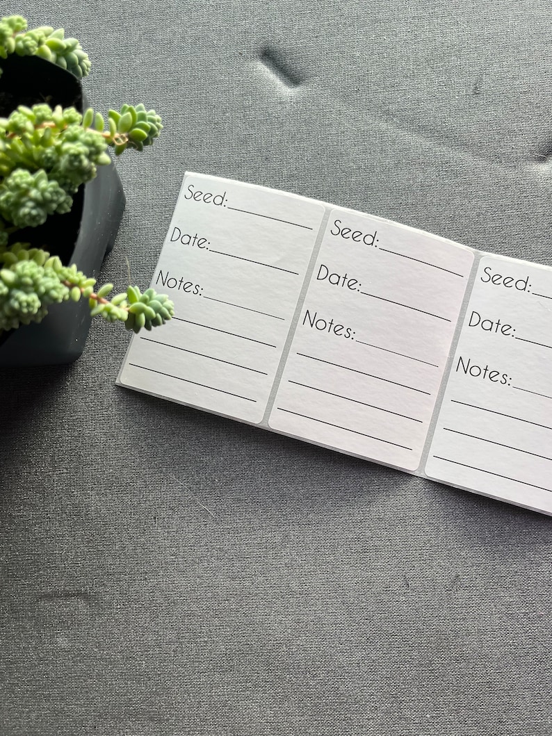 Seed Envelope Labels | Seed Labels | 2 X 3 Label | Set of 5 Labels - Etsy