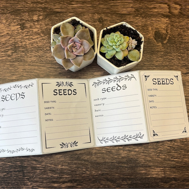 Seed Labels - Etsy