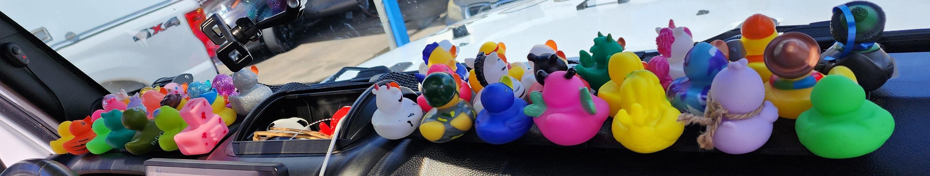 MEGA Duck Holder - Etsy