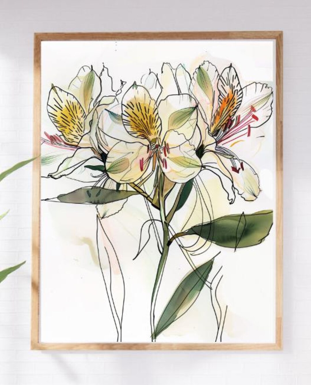 Peruvian Lily Watercolor With Pen and Ink, Digital Print for Immediate ...