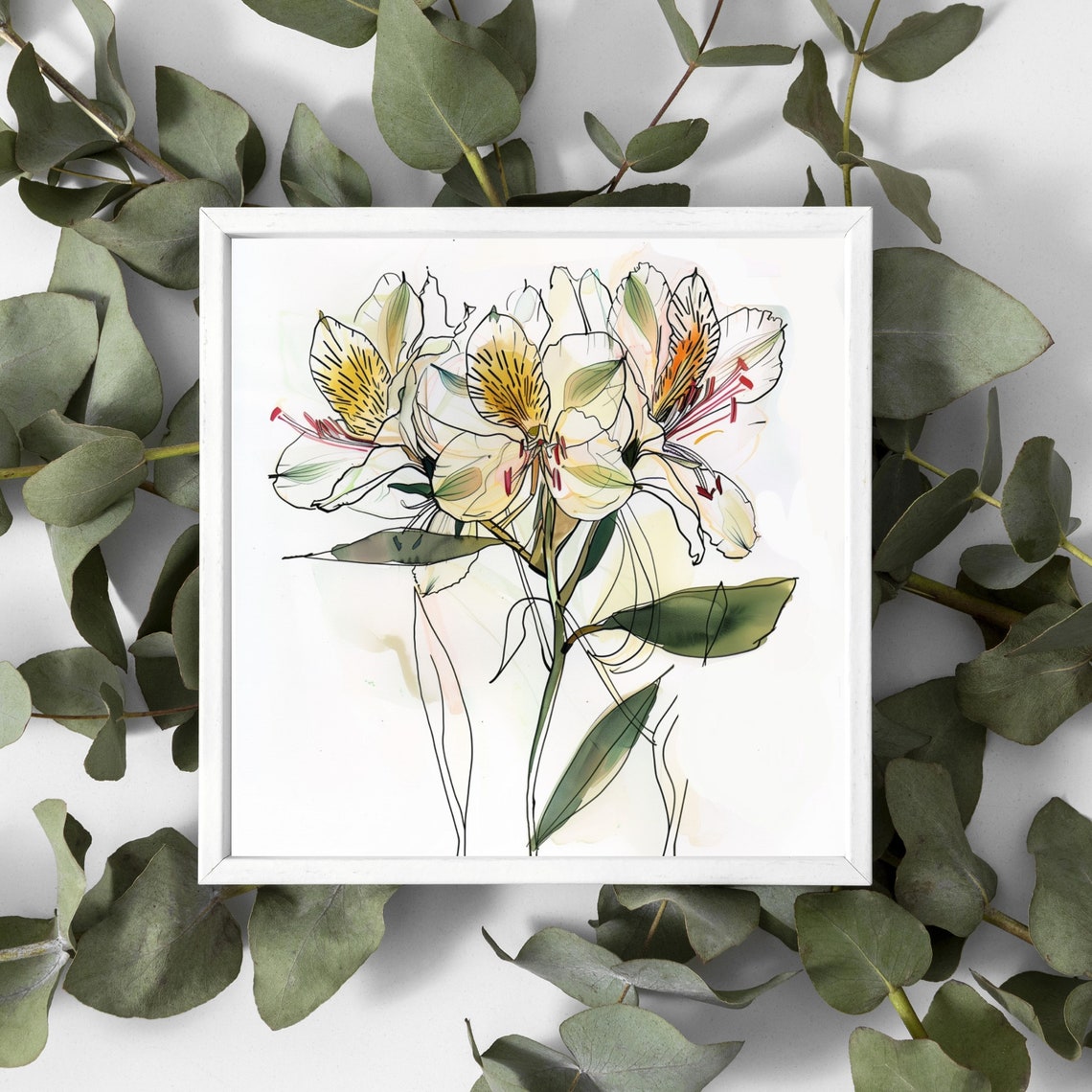 Peruvian Lily Watercolor With Pen and Ink, Digital Print for Immediate ...
