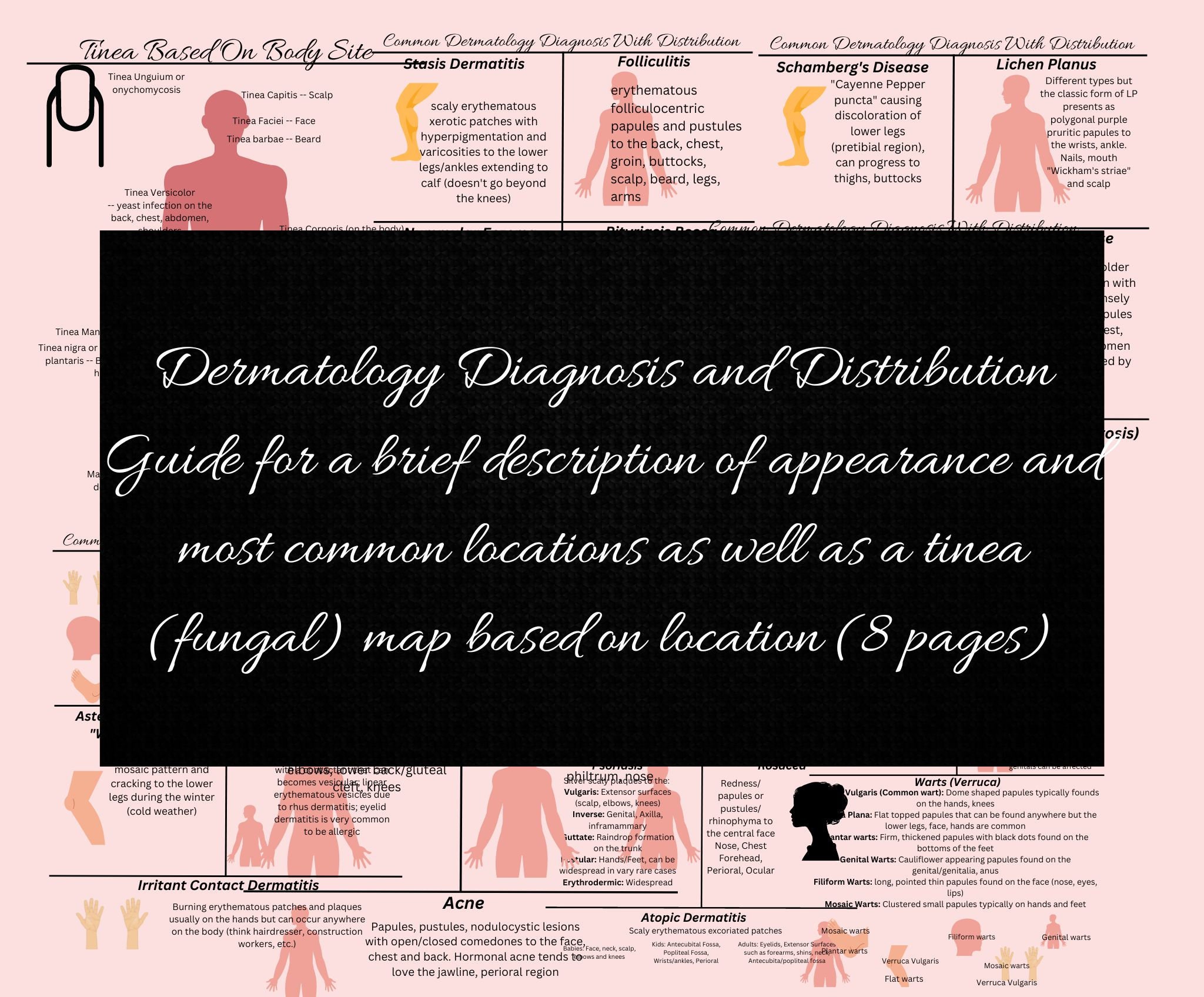 Dermatology Diagnosis Distribution Guide for Dermatologist, PA, NP ...