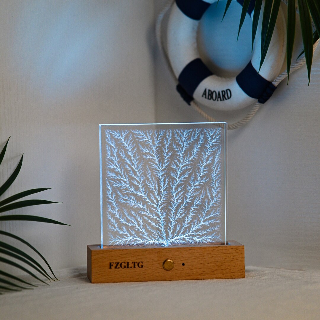 Frozen Lightning/lichtenberg Figures/the Shocking Art of Physics ...