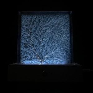 Lichtenberg Figur/chaotic Discharge Model/art and Collectibles/art Wall ...