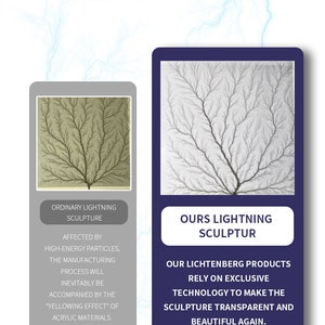 Frozen Lightning/lichtenberg Figures/the Shocking Art of Physics ...
