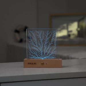 Frozen Lightning/lichtenberg Figures/the Shocking Art of Physics ...