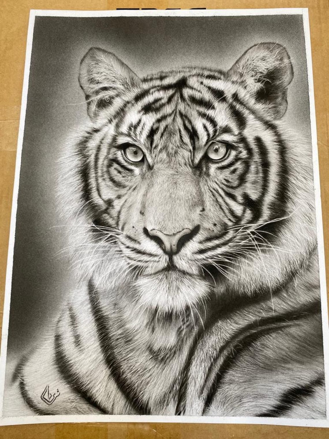 Original Hyperrealism Charcoal Drawing Of A Tiger Etsy