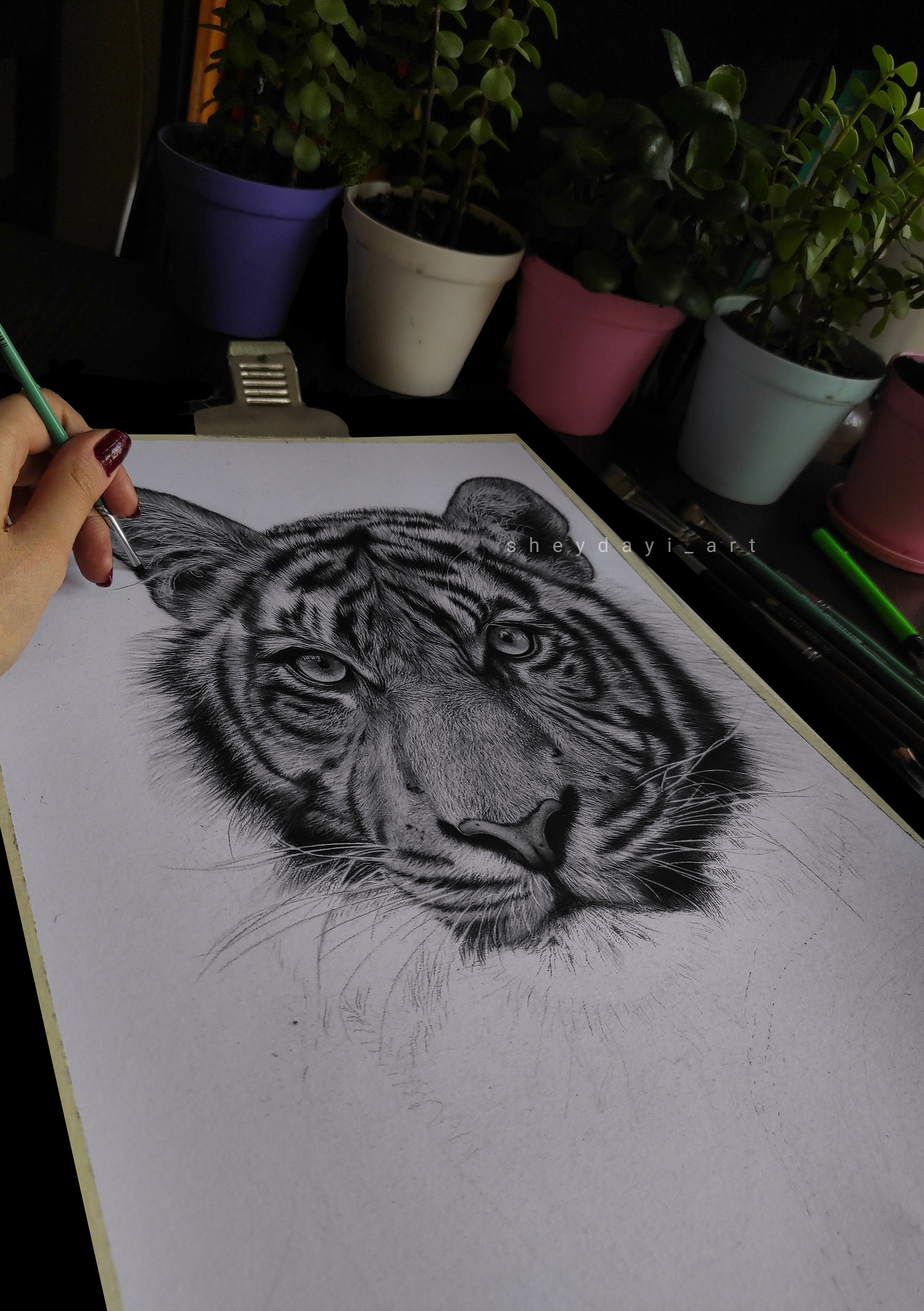 Original Hyperrealism Charcoal Drawing of a Tiger - Etsy