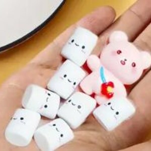 Cute Realistic Resin Marshmallow S'mores With Thank You Card - Positive ...