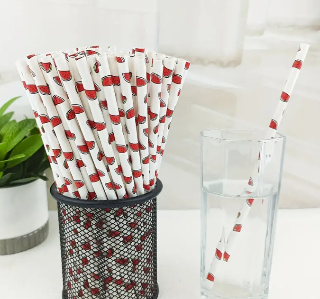 Our Watermelon Designed Paper Straws That Are Great for Summer BBQ ...