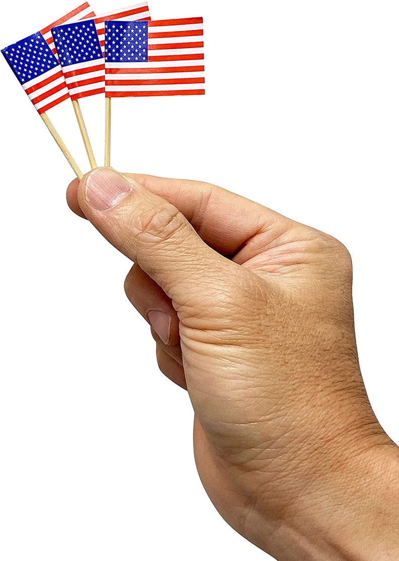 USA Toothpick Flags 100 American Flag Toothpicks Stars and - Etsy