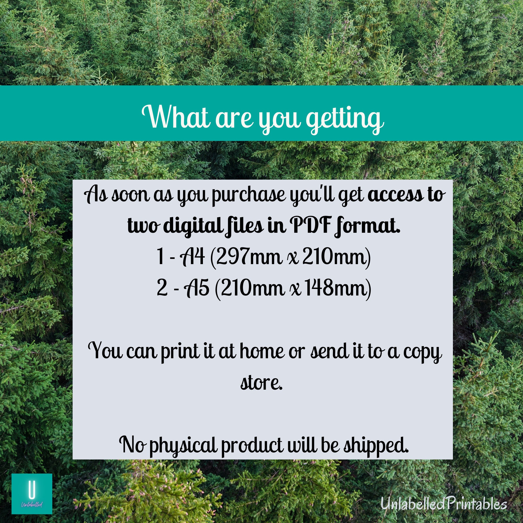 Cute Owl Bookmarks - Printable - Etsy