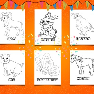 Digital Fun Animals Learning Printable Coloring Page for Kids - Etsy