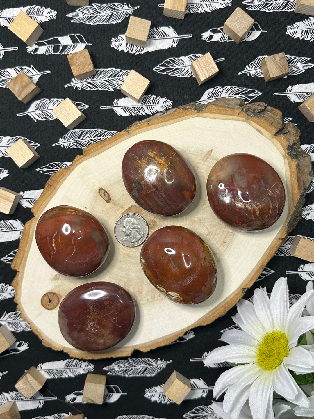 Natural Petrified Wood Palm Stone - Intuitively Chosen Petrified Wood ...