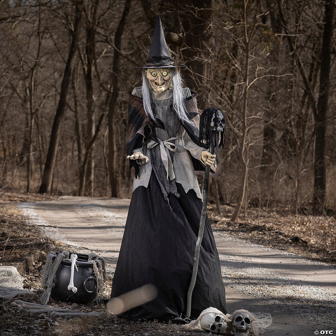 NEW Lifesize Halloween Animated Lunging Haggard Witch Haunted House ...