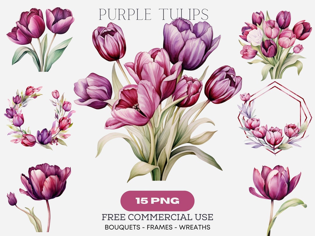 Purple Tulip Clipart, Commercial Use, Digital Download - Etsy
