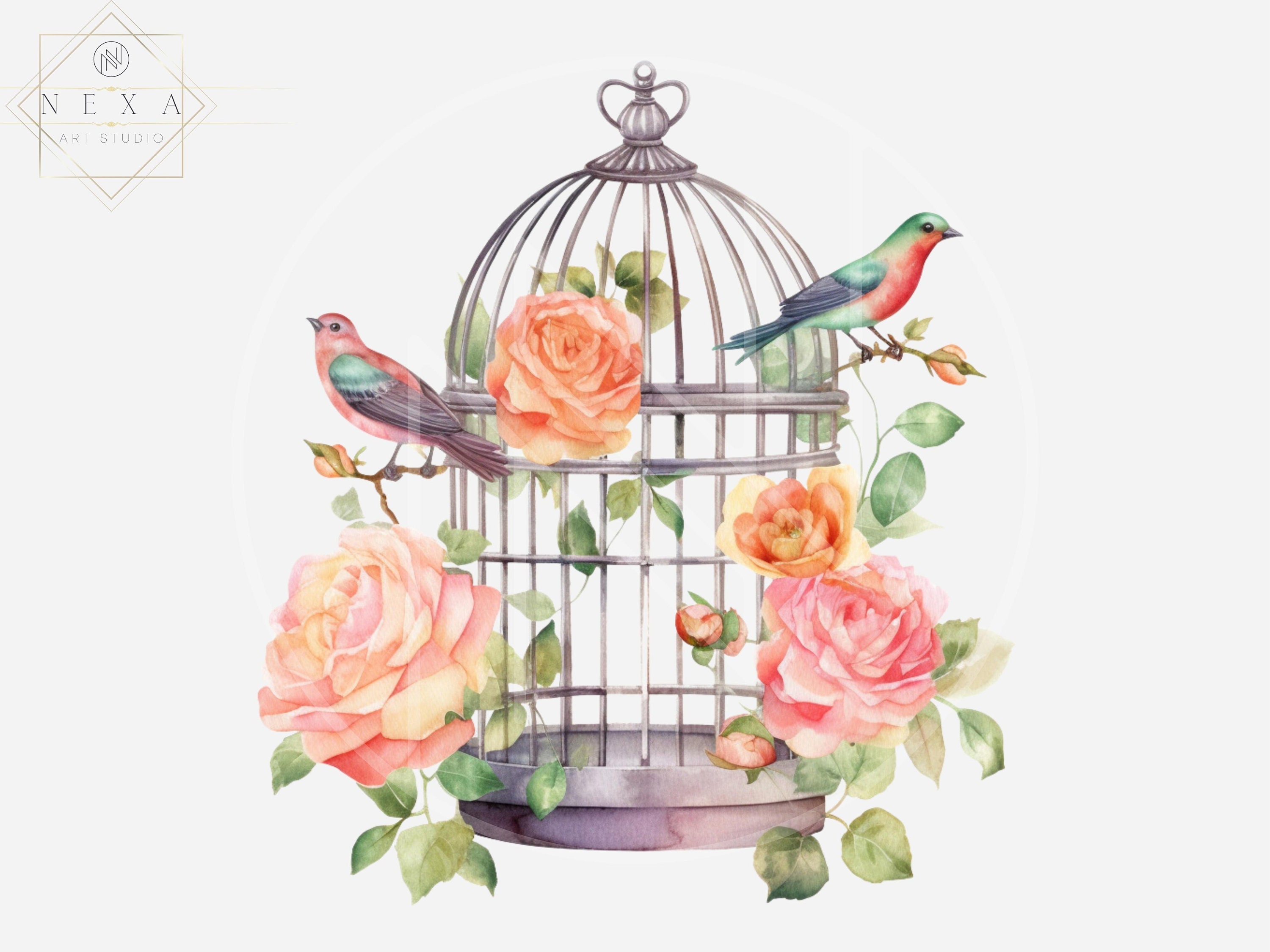 Watercolor Birdcages Clipart, Vintage Floral Shabby Antique Bird Cage ...