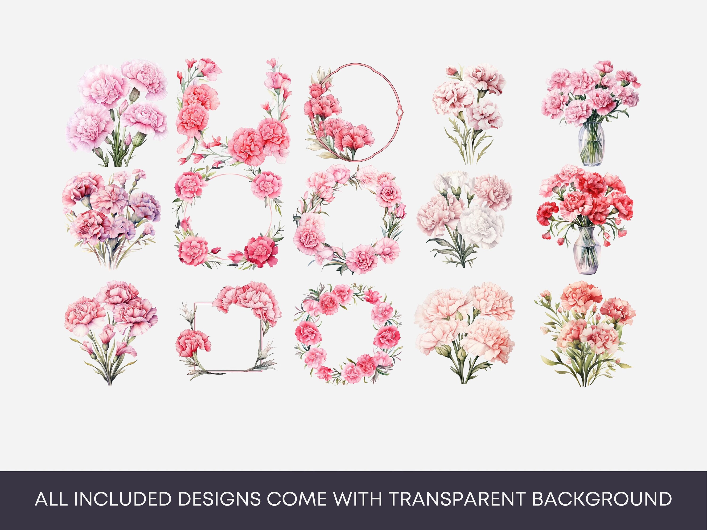 Watercolor Pink Carnation Clipart Floral Graphics in PNG - Etsy