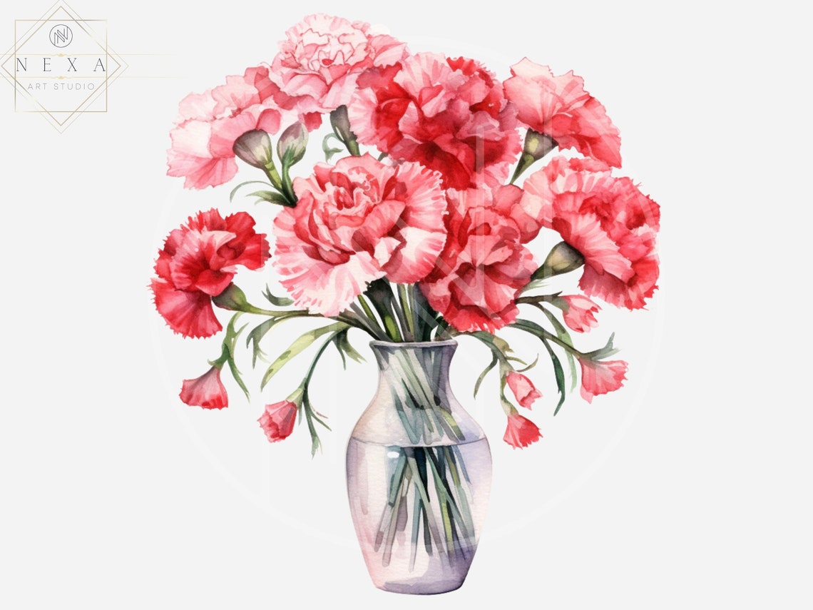 Watercolor Pink Carnation Clipart Floral Graphics in PNG - Etsy
